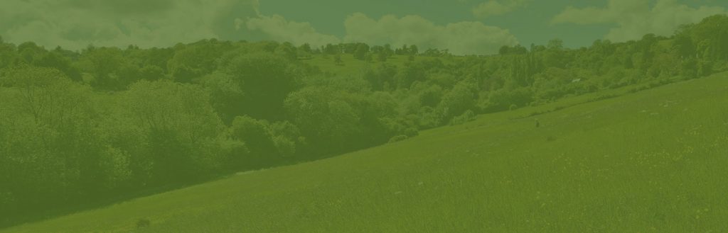 Welcome to Keens Cheddar | Traditional Cheese Makers in Somerset